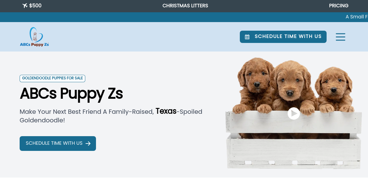 30 Best Dog Breeder Website Design Example Ideas