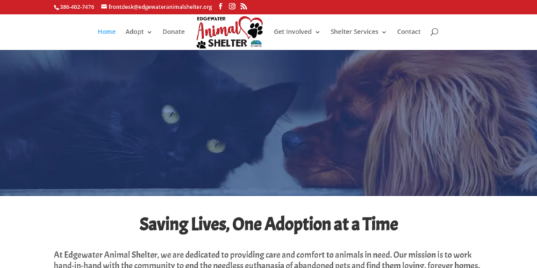 30 Best Animal Shelter Website Design Examples