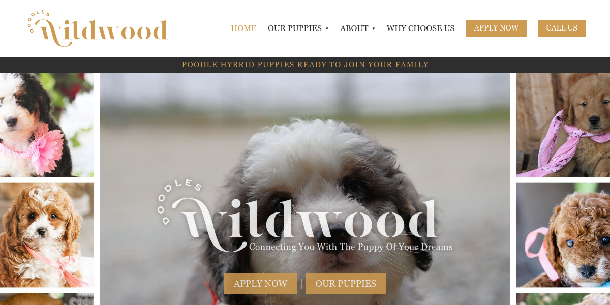 30 Best Dog Breeder Website Design Example Ideas